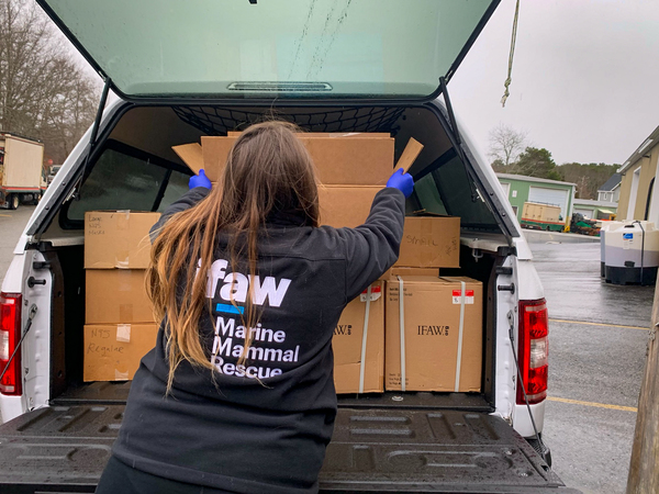 International Fund for Animal Welfare | IFAW