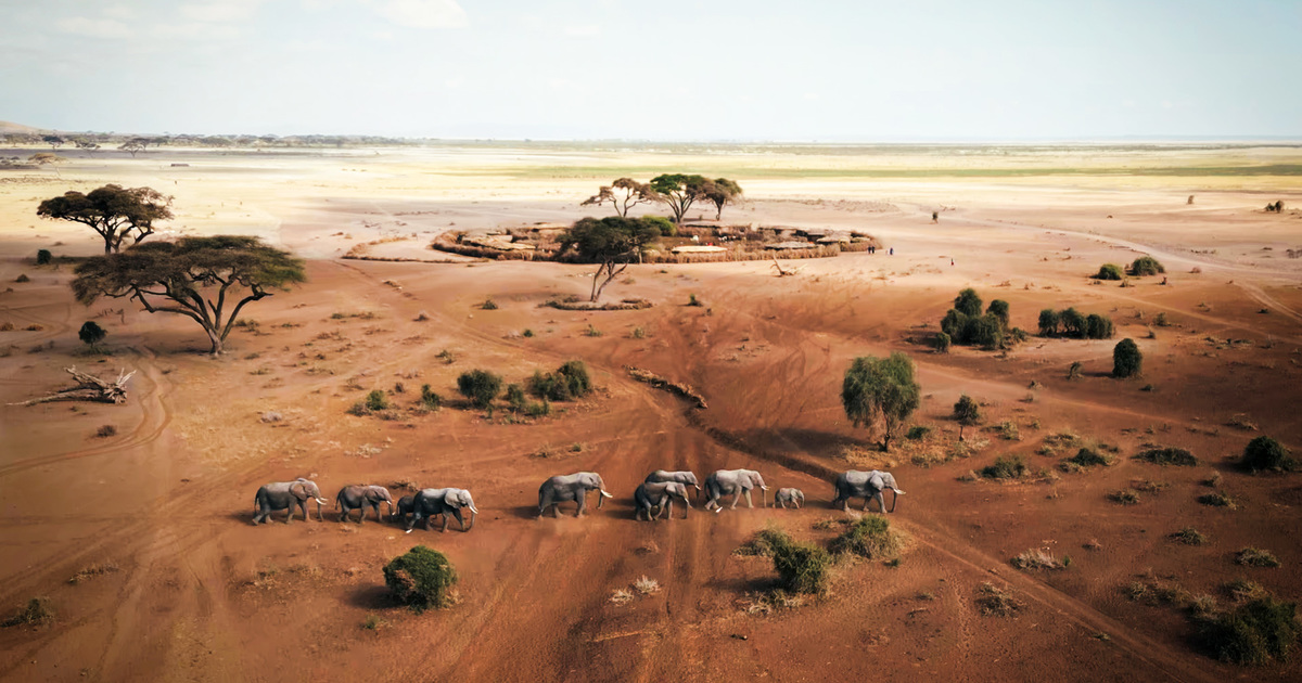 Rooam to Roam - Get involved