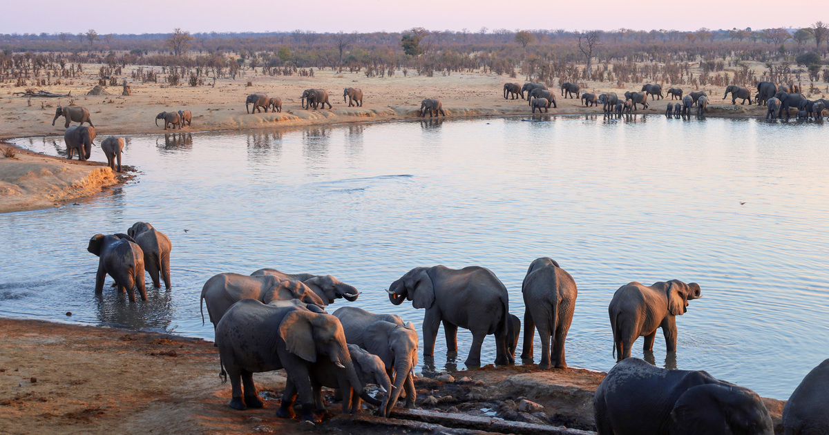 What is climate-smart conservation? | IFAW