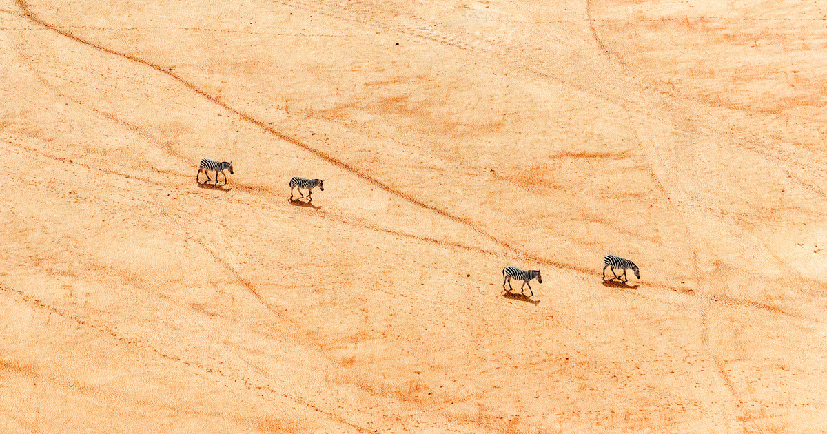 Joining hands with nature to tackle the climate crisis