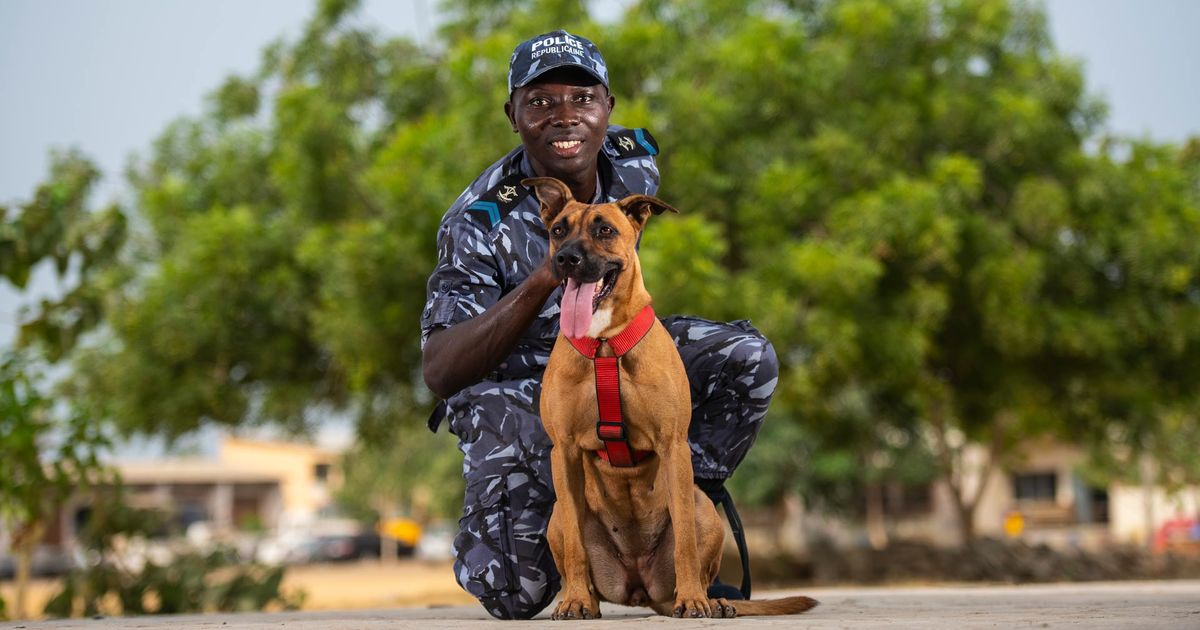 Detection Dogs Benin | IFAW