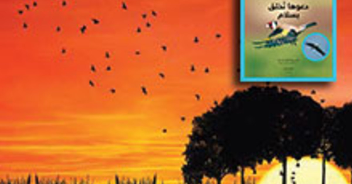 let them fly safely - arabic | IFAW let them fly safely - arabic | IFAW