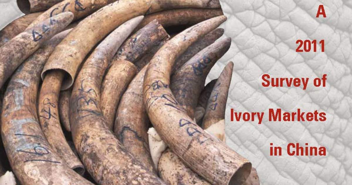 making a killing: a 2011 survey of ivory markets in China