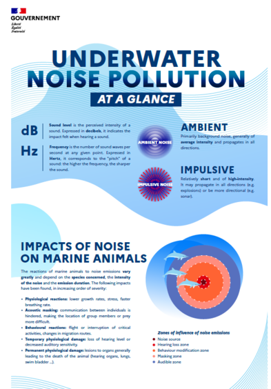 Noise Pollution Effects On Animals