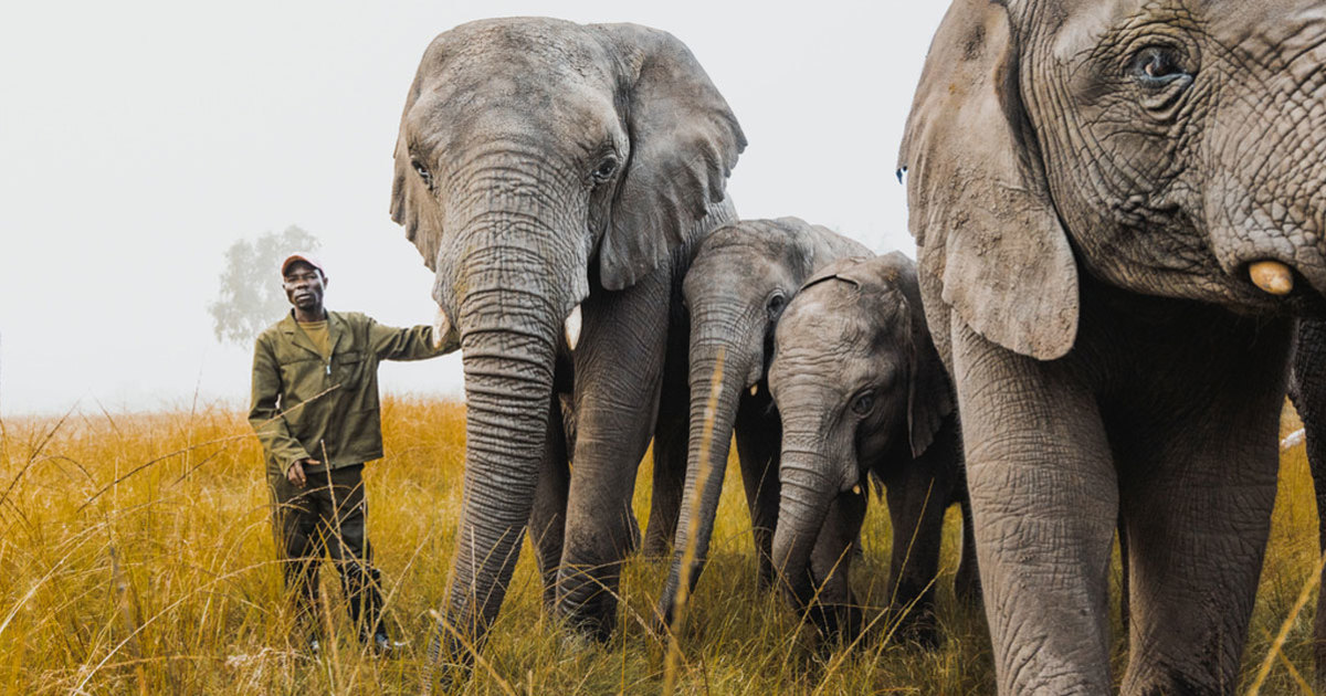 Legacy Giving | IFAW